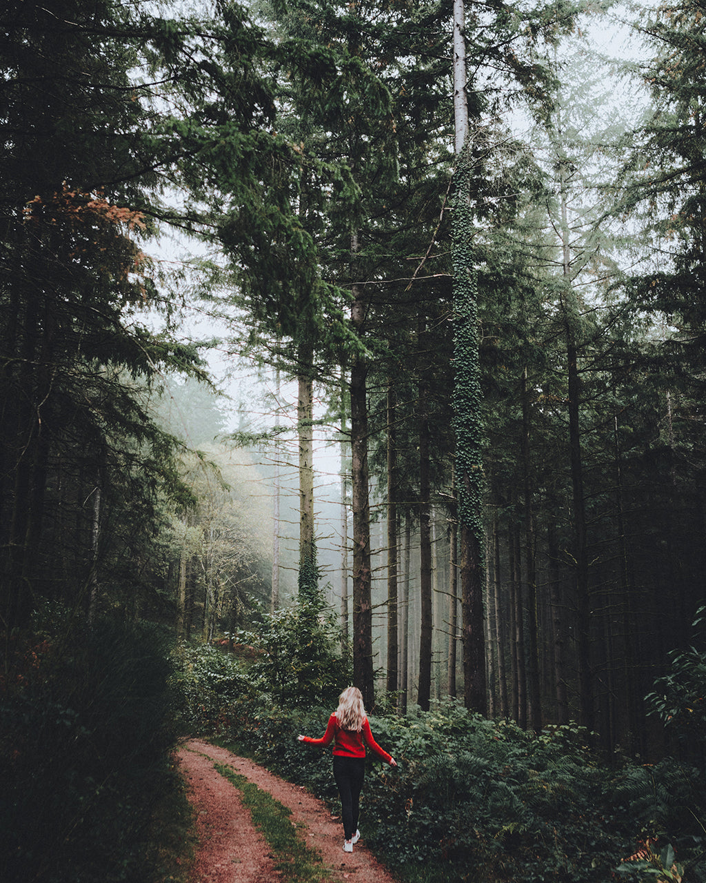 15 Small Steps You Can Make to Go Greener